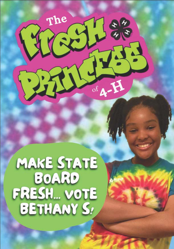 State 4-H Council - Georgia4H