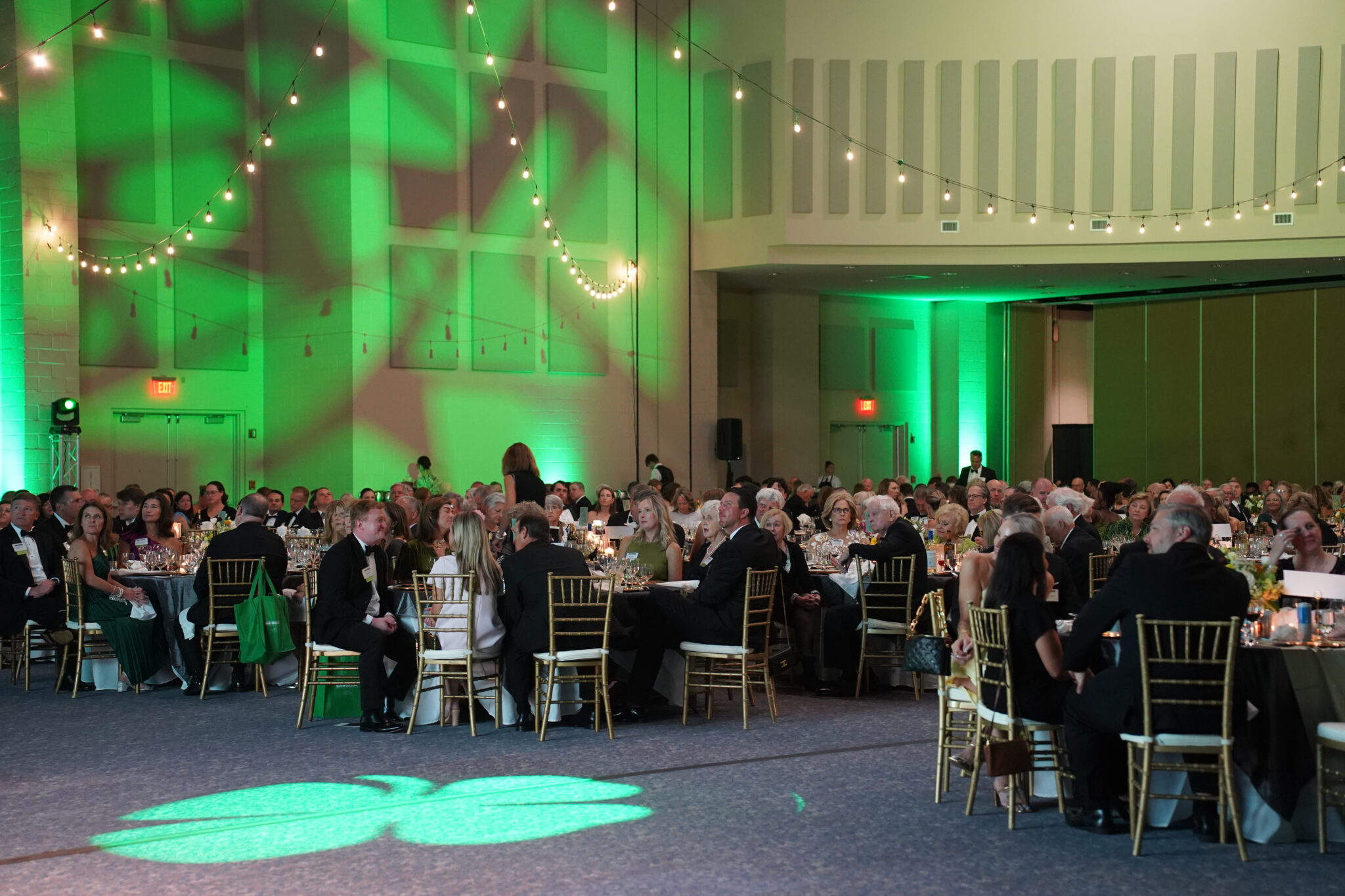 Million Dollar Night: 2025 Georgia 4-H Foundation Gala - Georgia 4-H