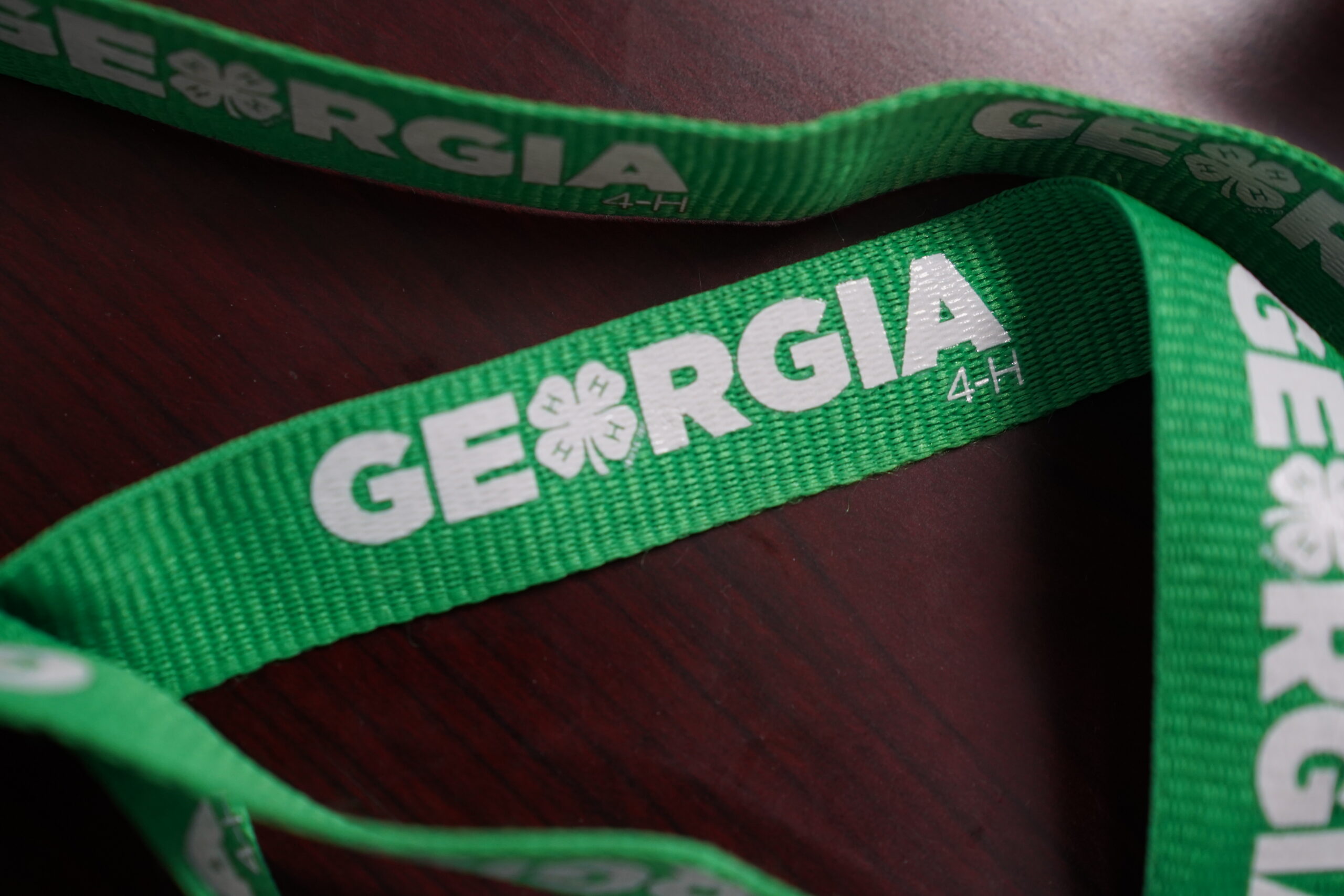 Arts and Crafts Senior Project Guide - Georgia 4-H