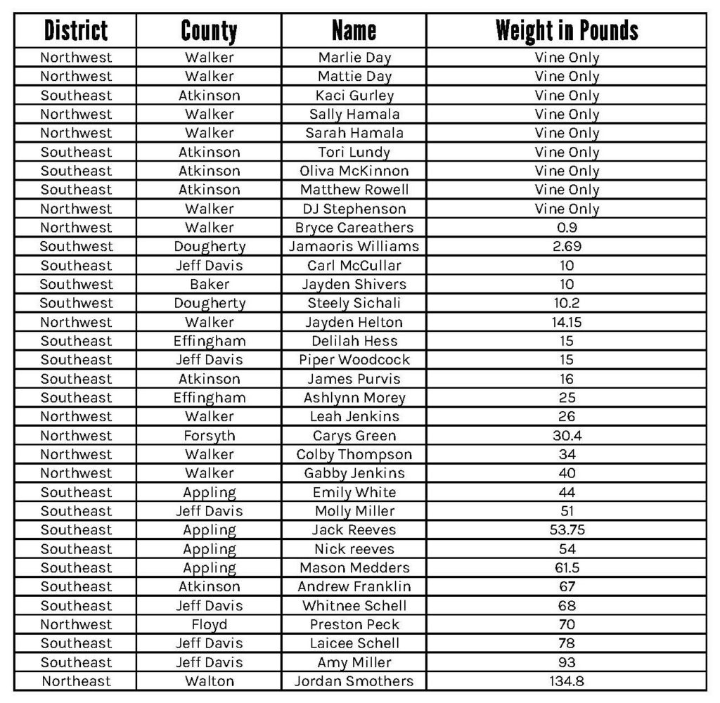 Watermelon Growing Contest « Georgia4H